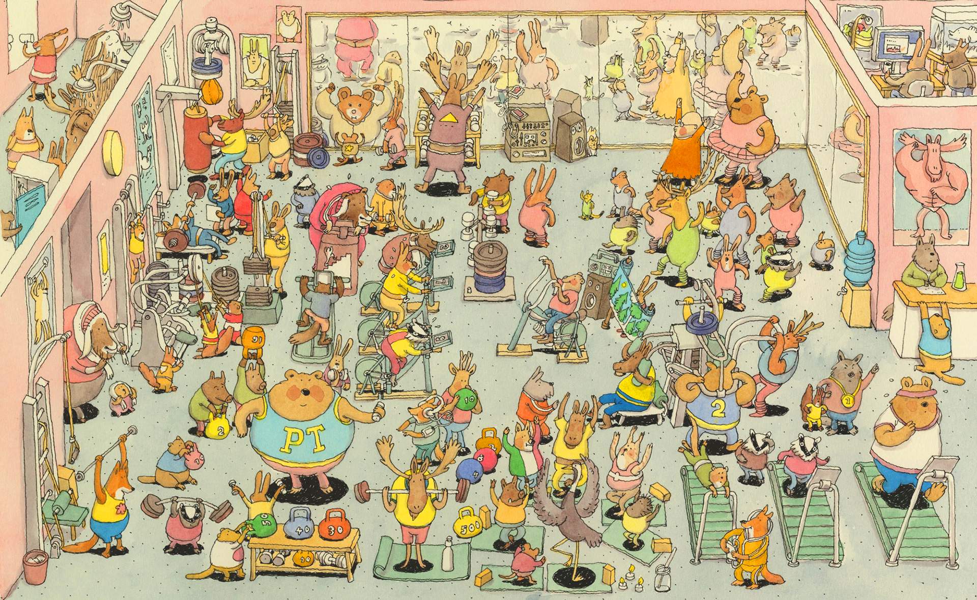 Solve The Gym (medium) jigsaw puzzle online with 228 pieces