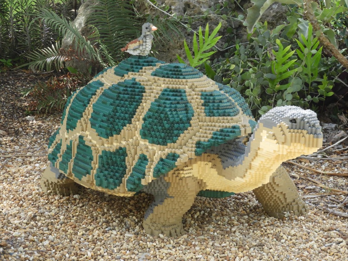 Solve Tortoise Lego at Fairchild’s jigsaw puzzle online with 35 pieces