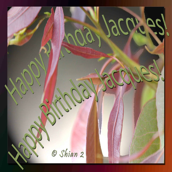 Solve Happy Birthday Jacques! and Many Happy Returns of the Day! jigsaw ...