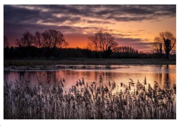 Solve Tipton wetlands jigsaw puzzle online with 54 pieces