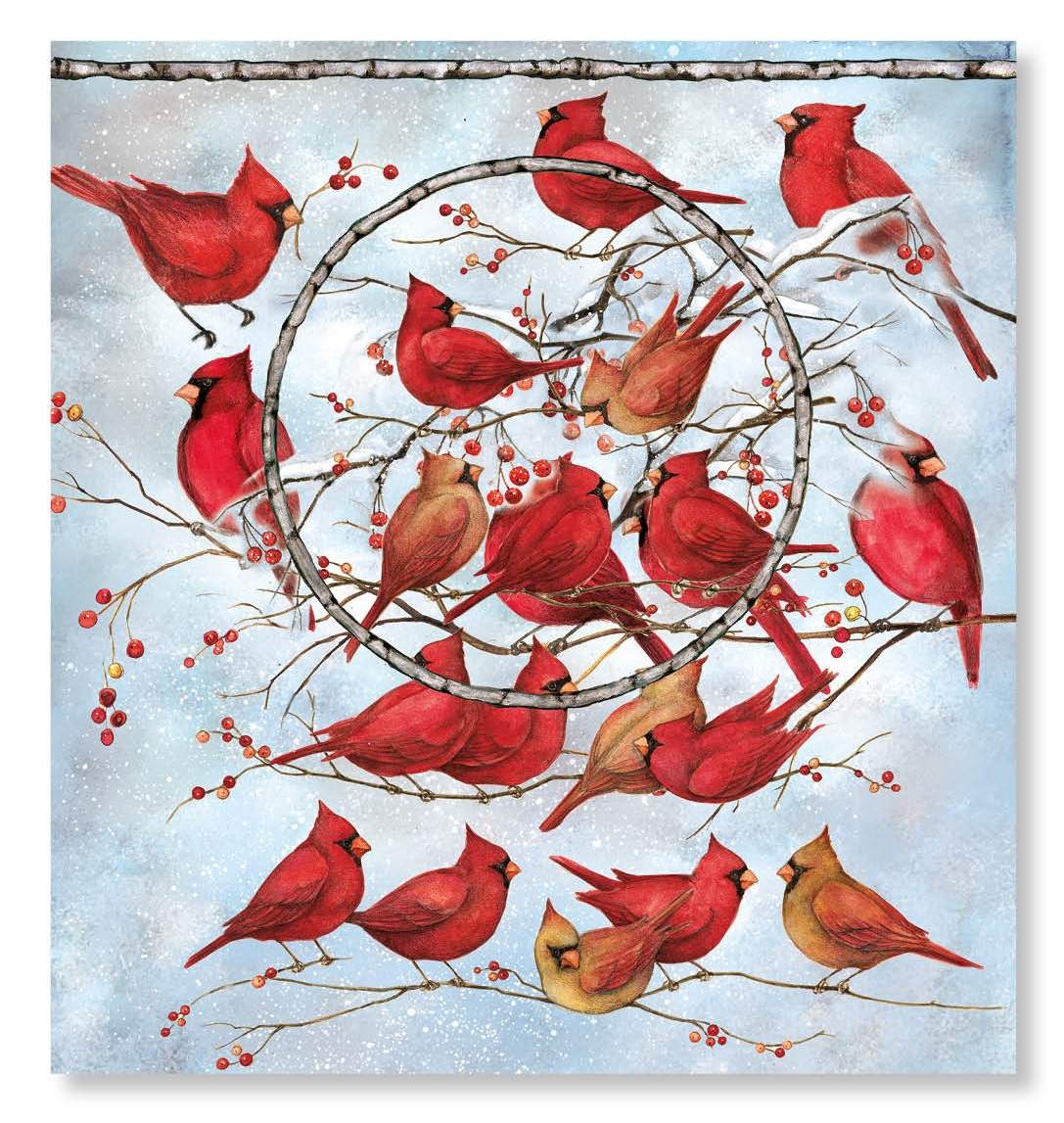 Solve Cardinals jigsaw puzzle online with 255 pieces