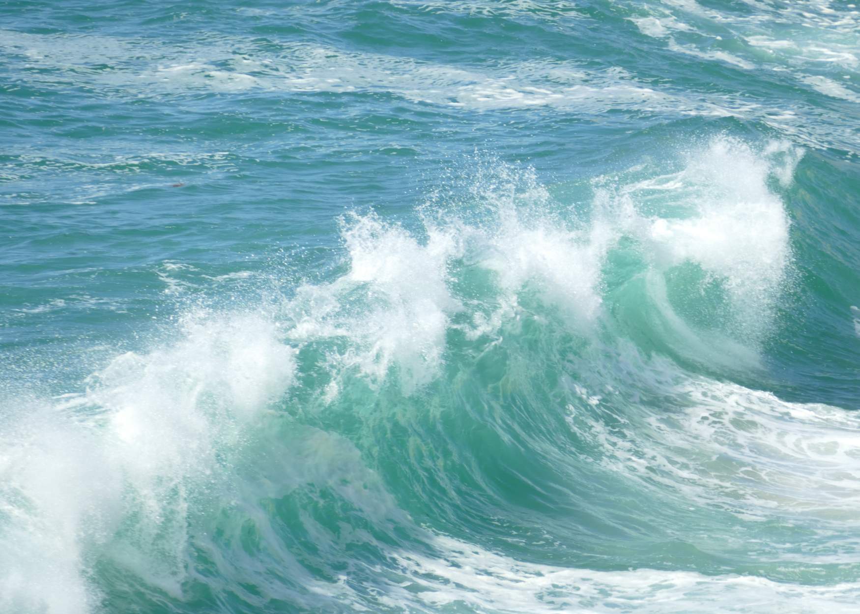 Solve Grande vague jigsaw puzzle online with 140 pieces