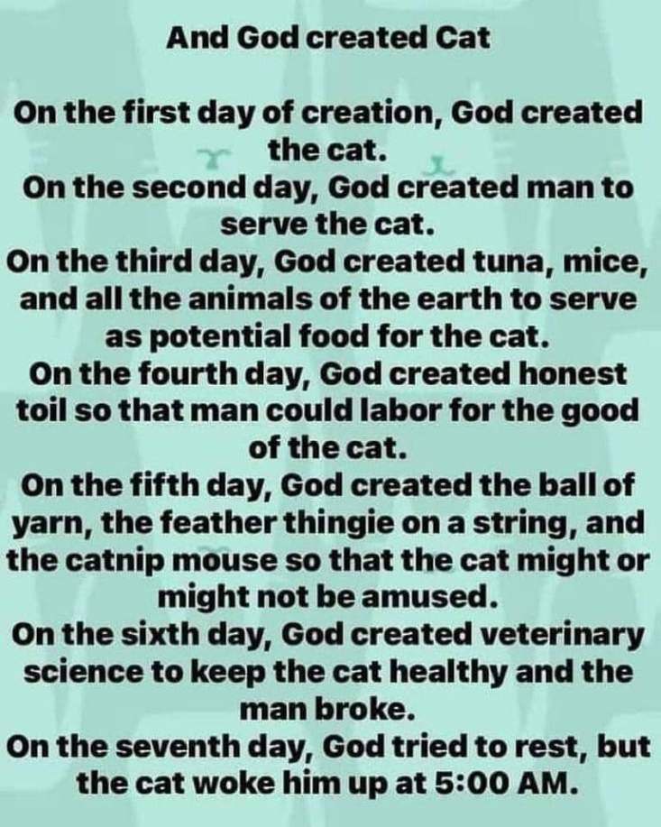 Solve And God Created Cat jigsaw puzzle online with 12 pieces