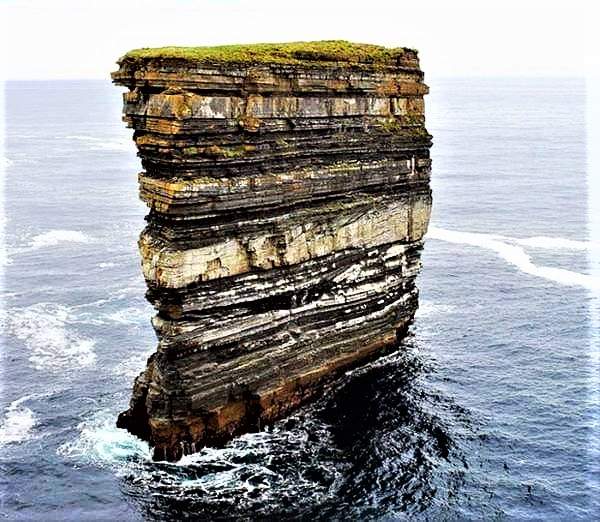 Solve rots in zee jigsaw puzzle online with 90 pieces