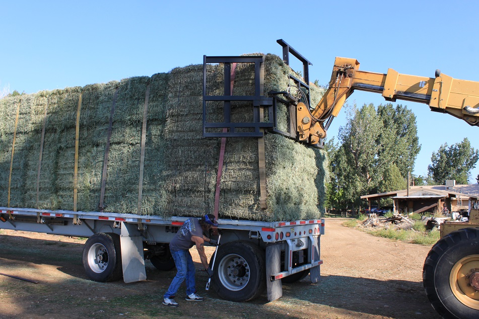 Solve 9/16/17 load of 21 bale bundles headed to Monument, CO jigsaw ...