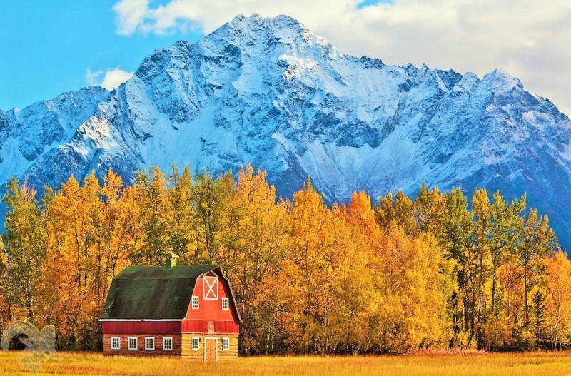Solve Red Barn In Alaska... jigsaw puzzle online with 12 pieces