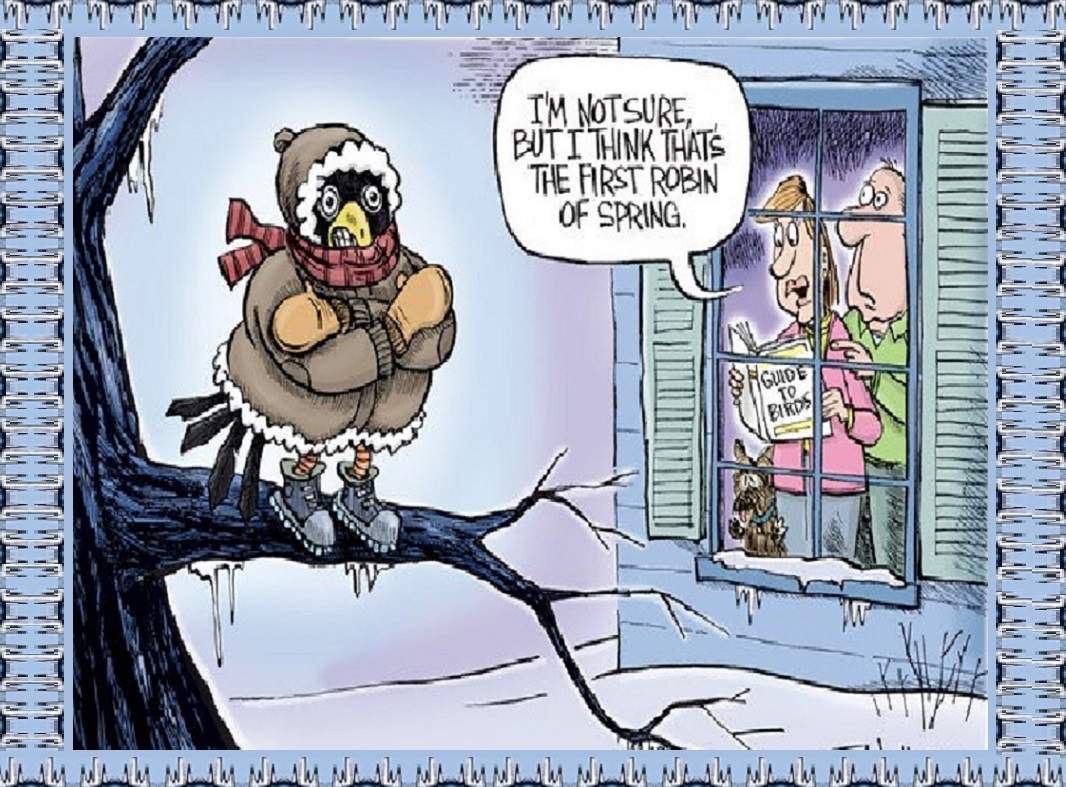 Solve The First Robin of Spring I think jigsaw puzzle online with 108 ...