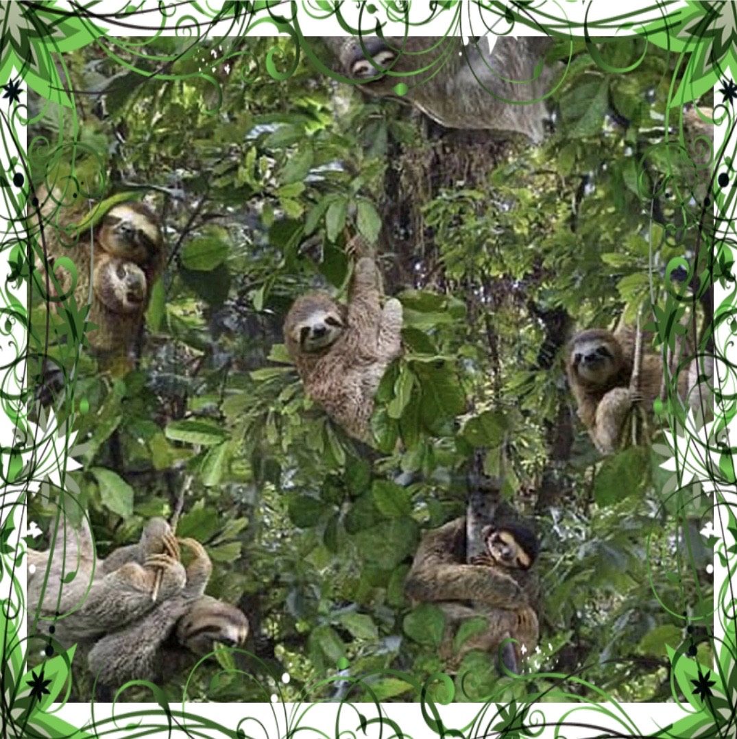 Solve Hanging Out with the Sloths jigsaw puzzle online with 196 pieces