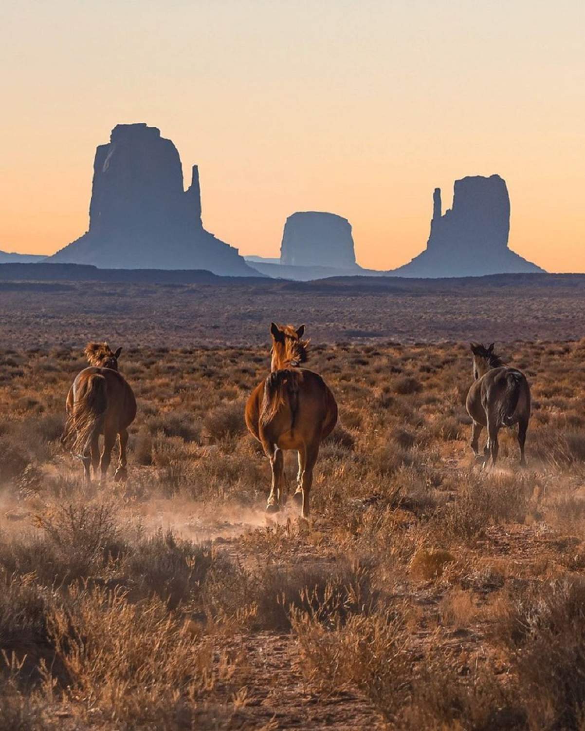 Solve Monument Valley, AZ 7748 jigsaw puzzle online with 252 pieces