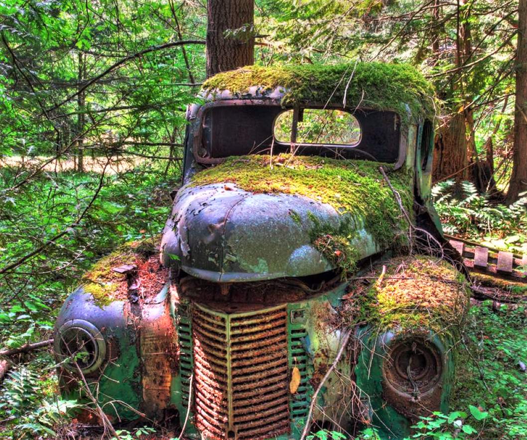 Solve Road weary jigsaw puzzle online with 238 pieces