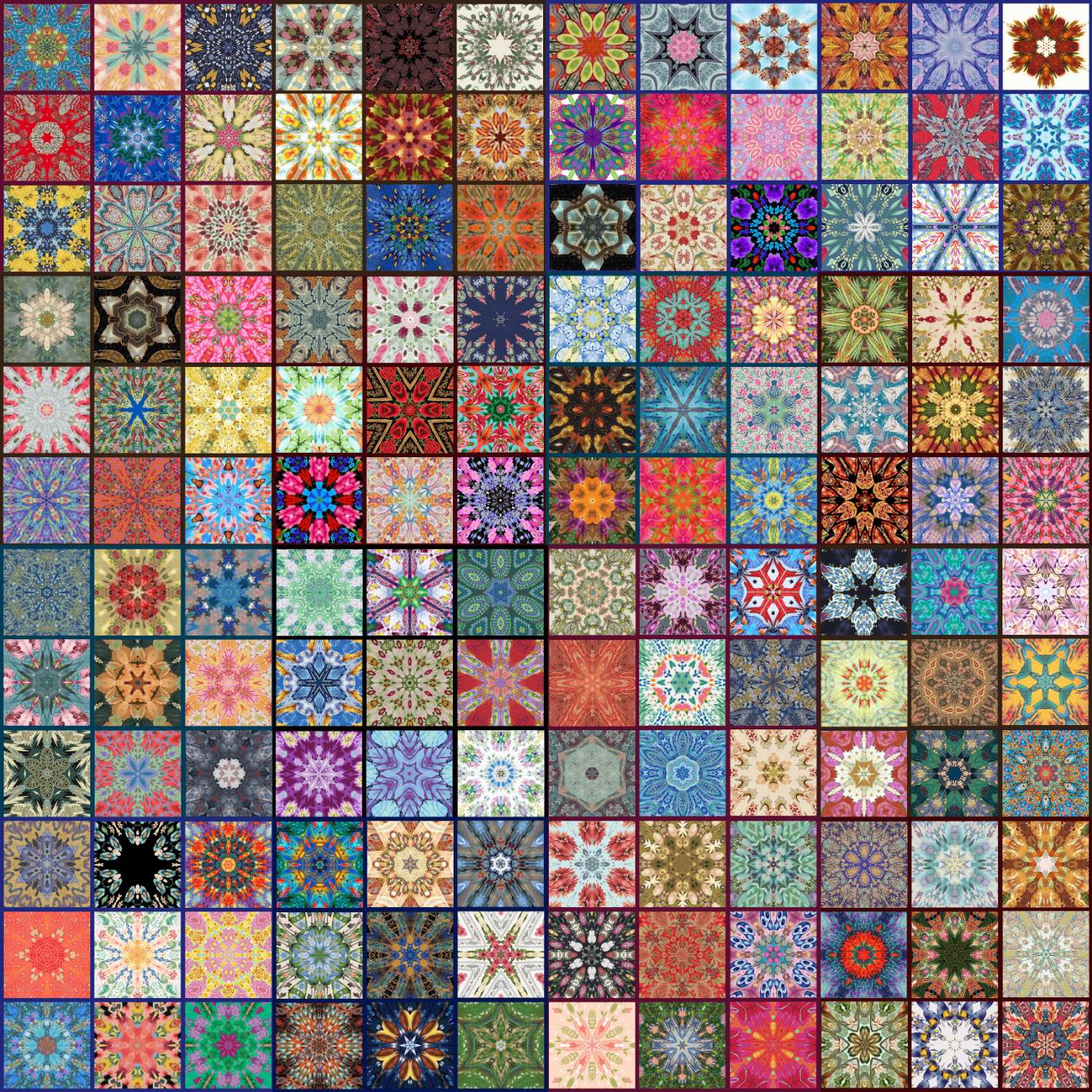 Solve 12 x 12 13 medium jigsaw puzzle online with 144 pieces