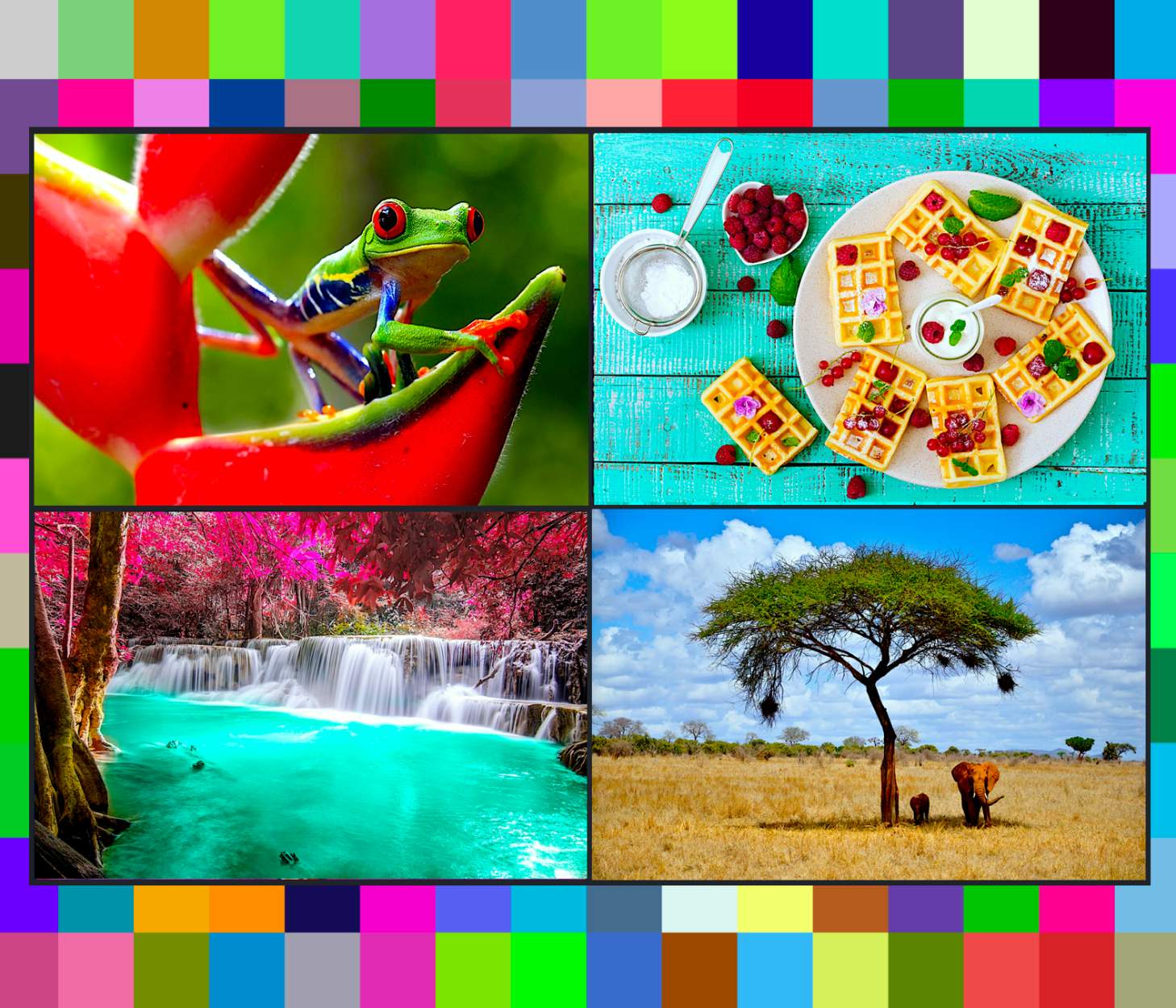 Solve Colorful nature jigsaw puzzle online with 120 pieces
