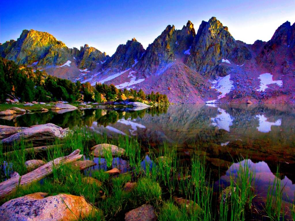 Solve Simply stunning... jigsaw puzzle online with 54 pieces