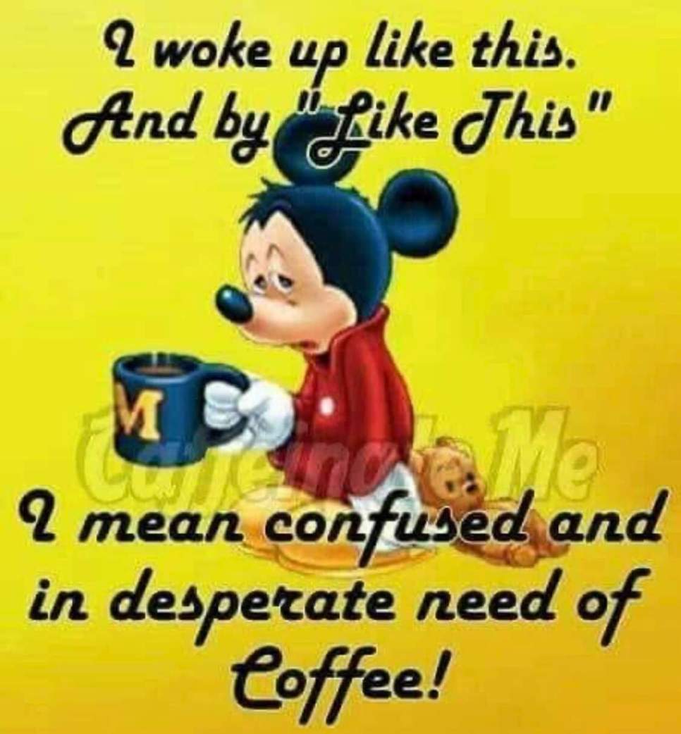 Solve confused jigsaw puzzle online with 25 pieces