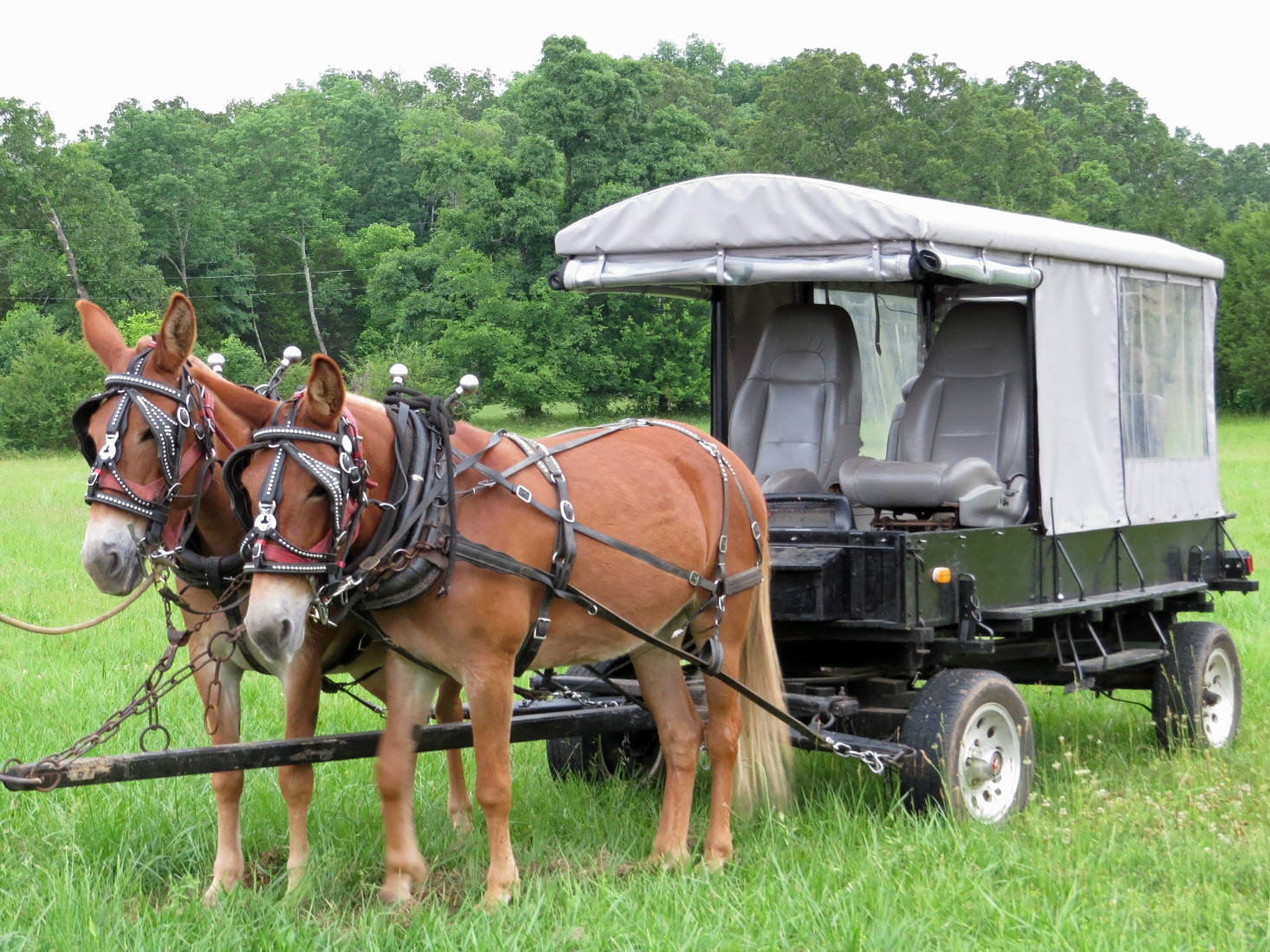 Solve homemade_covered_wagon jigsaw puzzle online with 165 pieces