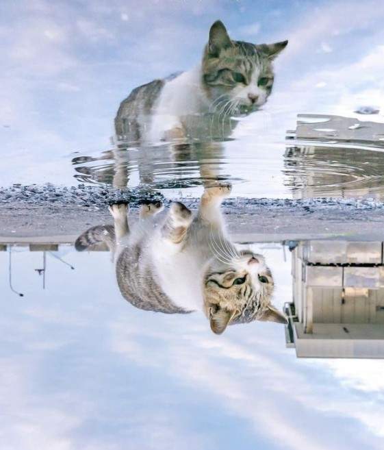 Solve 3.Louže_ 3.Puddles jigsaw puzzle online with 30 pieces