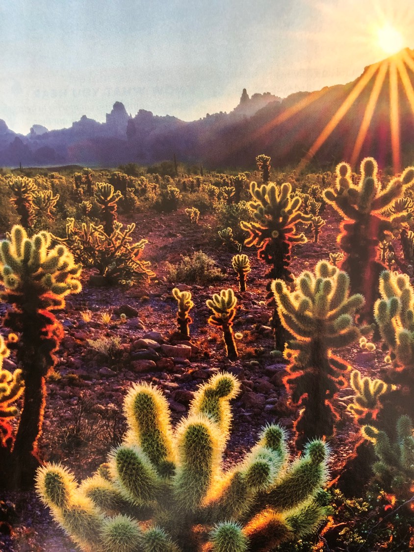 Solve Sun - 30 jigsaw puzzle online with 30 pieces