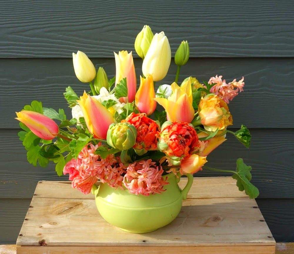 Solve Serene In Citrus Jigsaw Puzzle Online With 30 Pieces solve-serene-in-citrus-jigsaw-puzzle-online-with-30-pieces