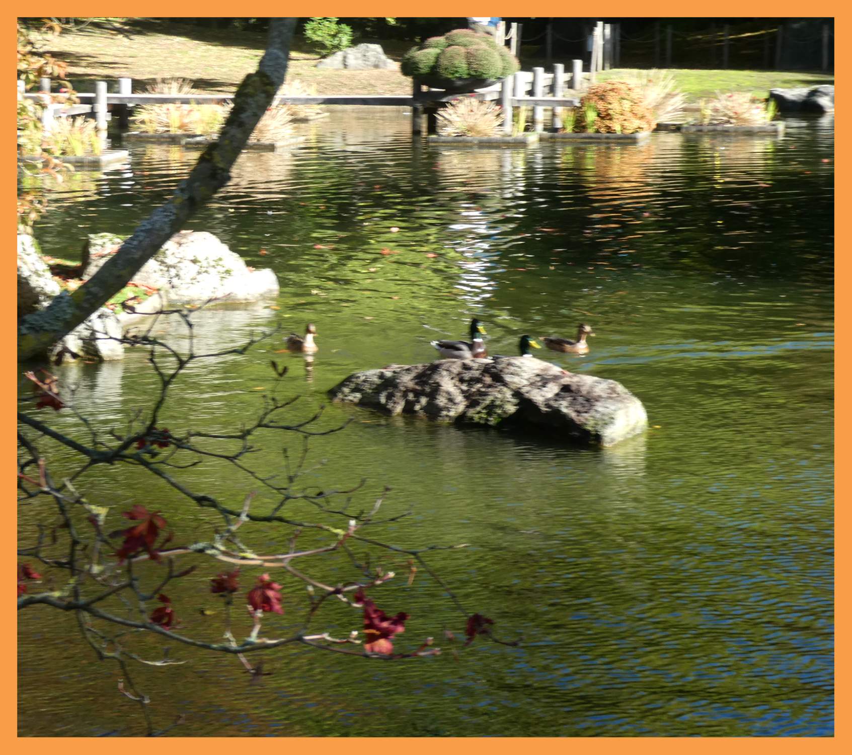 Solve Japanse tuin in Hasselt, België. jigsaw puzzle online with 168 pieces