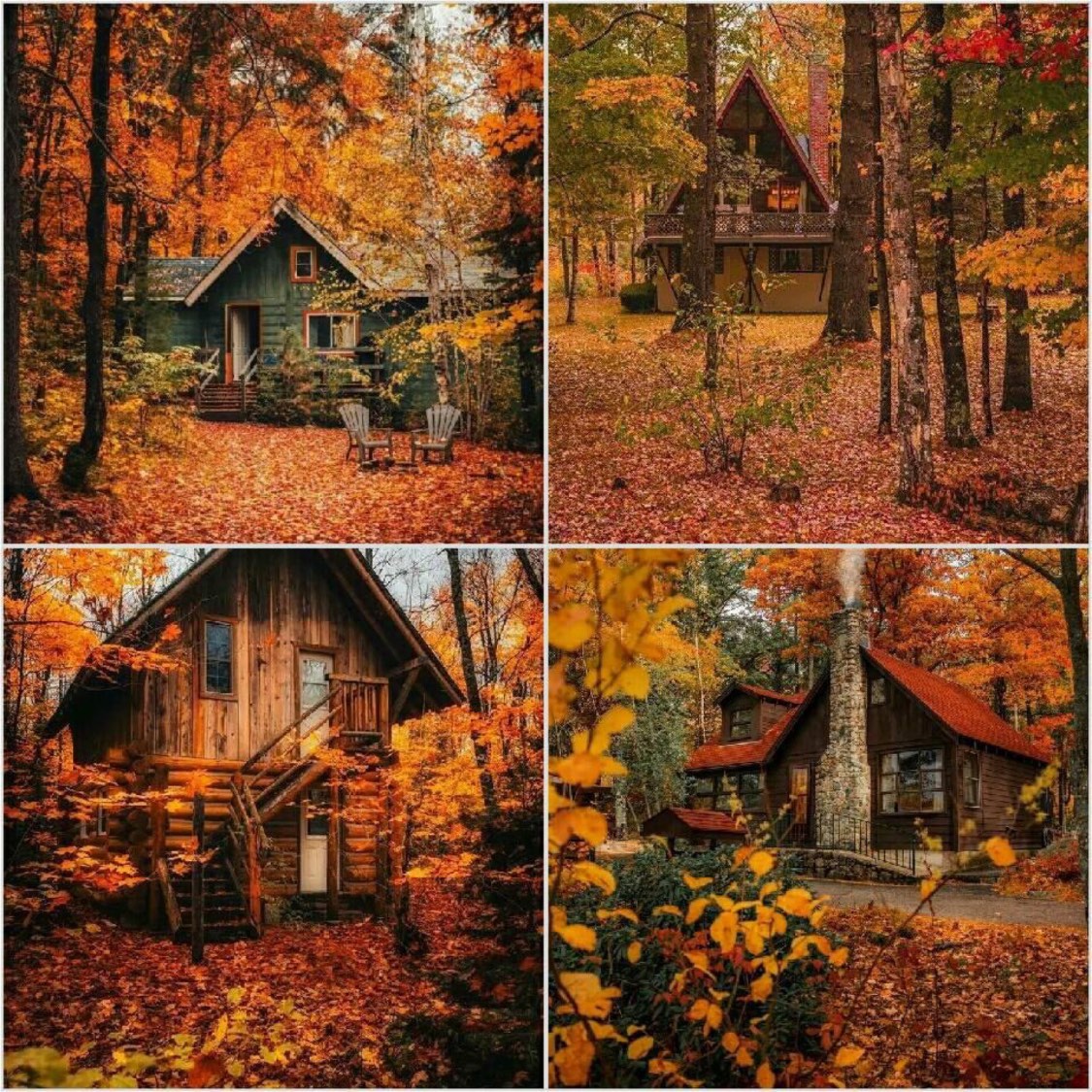 Solve Log Cabins jigsaw puzzle online with 81 pieces