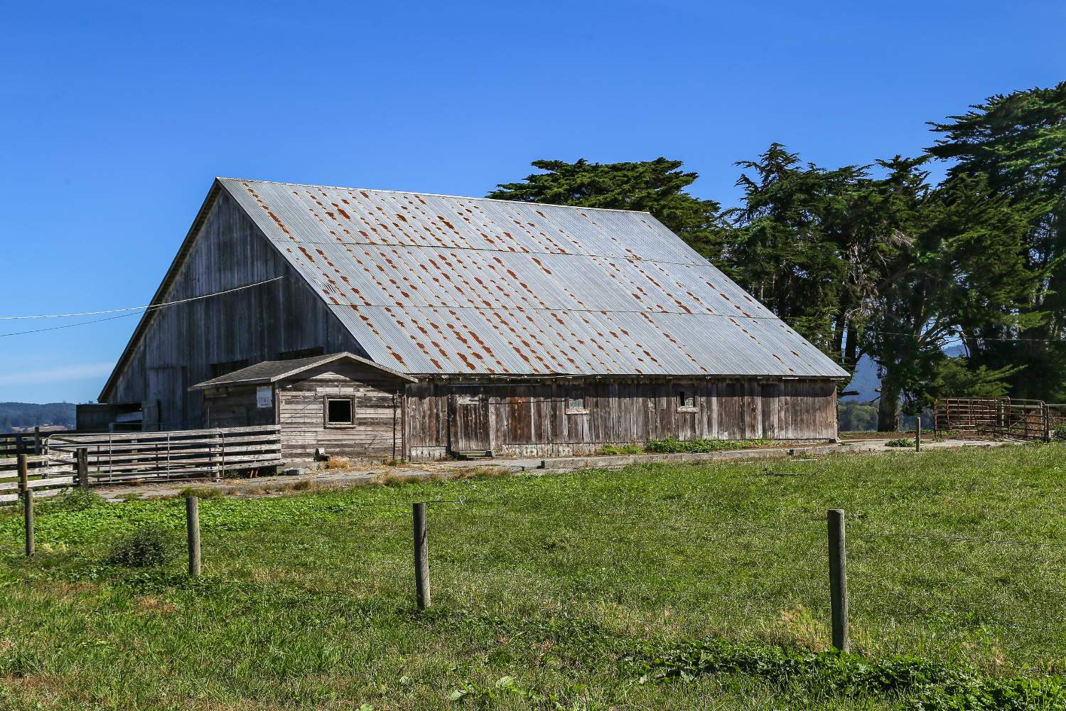Solve BARN NEAR FERNDALE jigsaw puzzle online with 96 pieces