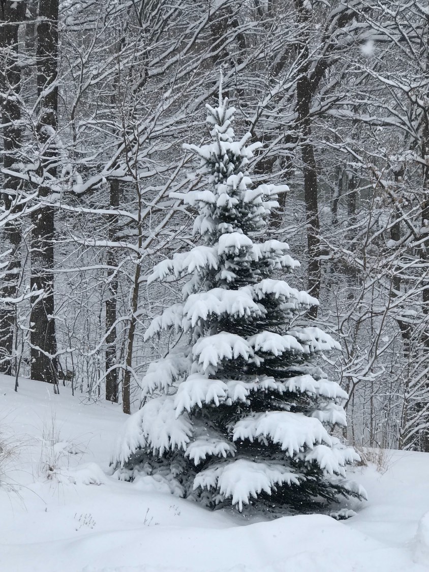 Solve Snowy Scene jigsaw puzzle online with 48 pieces