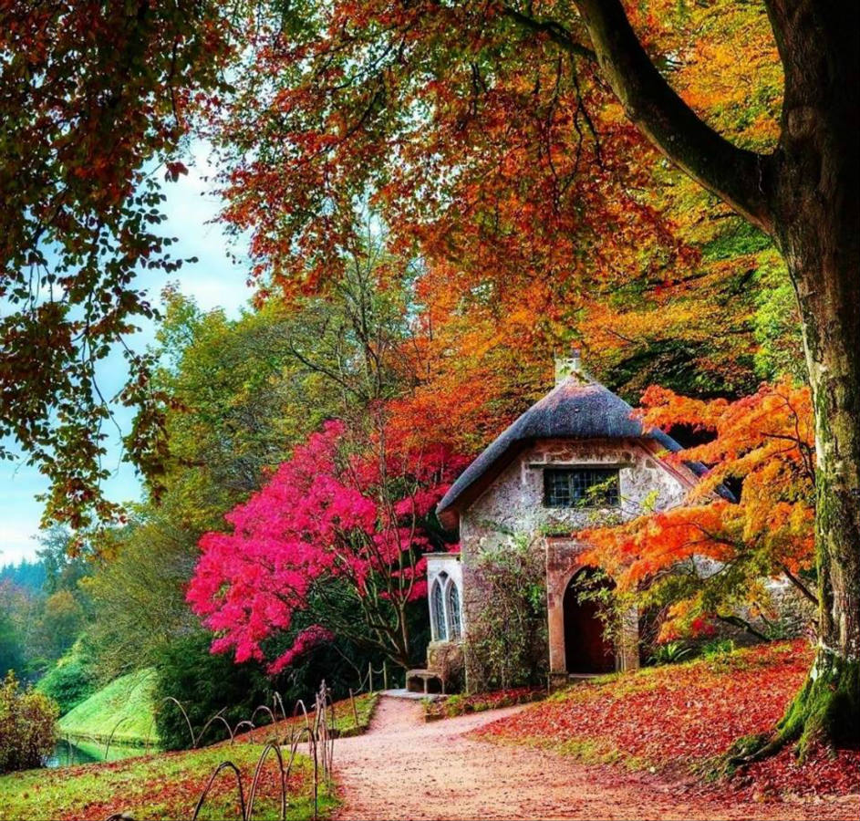 Solve Autumn jigsaw puzzle online with 49 pieces