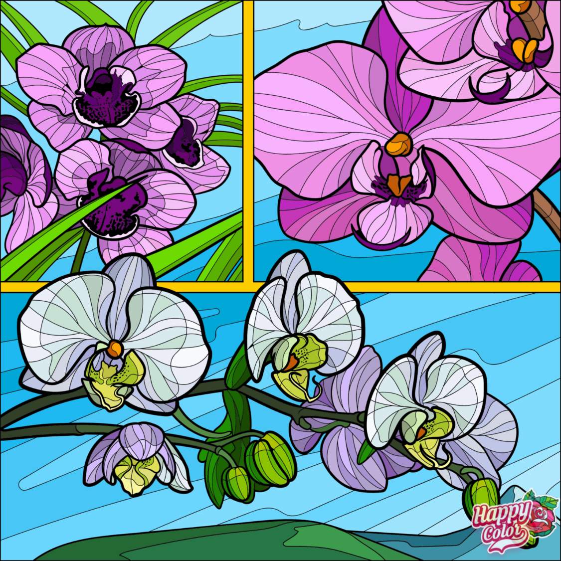 Solve Orchids . . . . . jigsaw puzzle online with 64 pieces