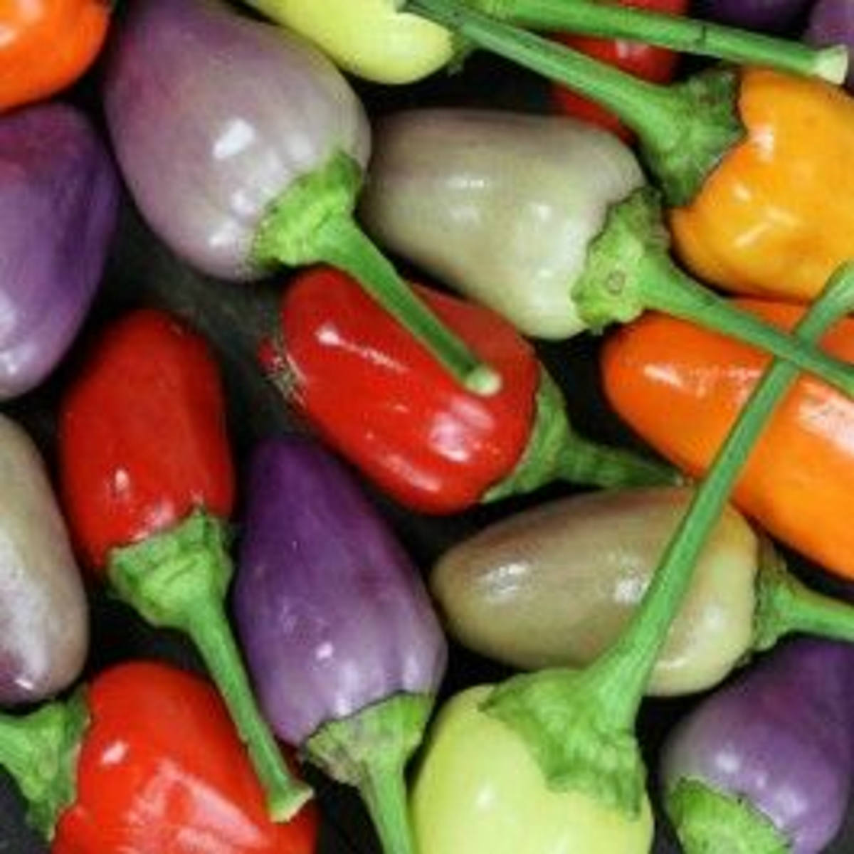 Solve Chinese 5 Color Pepper jigsaw puzzle online with 400 pieces