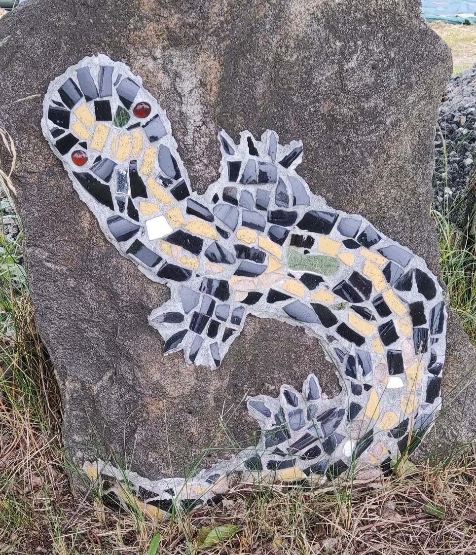 Solve Salamander jigsaw puzzle online with 72 pieces