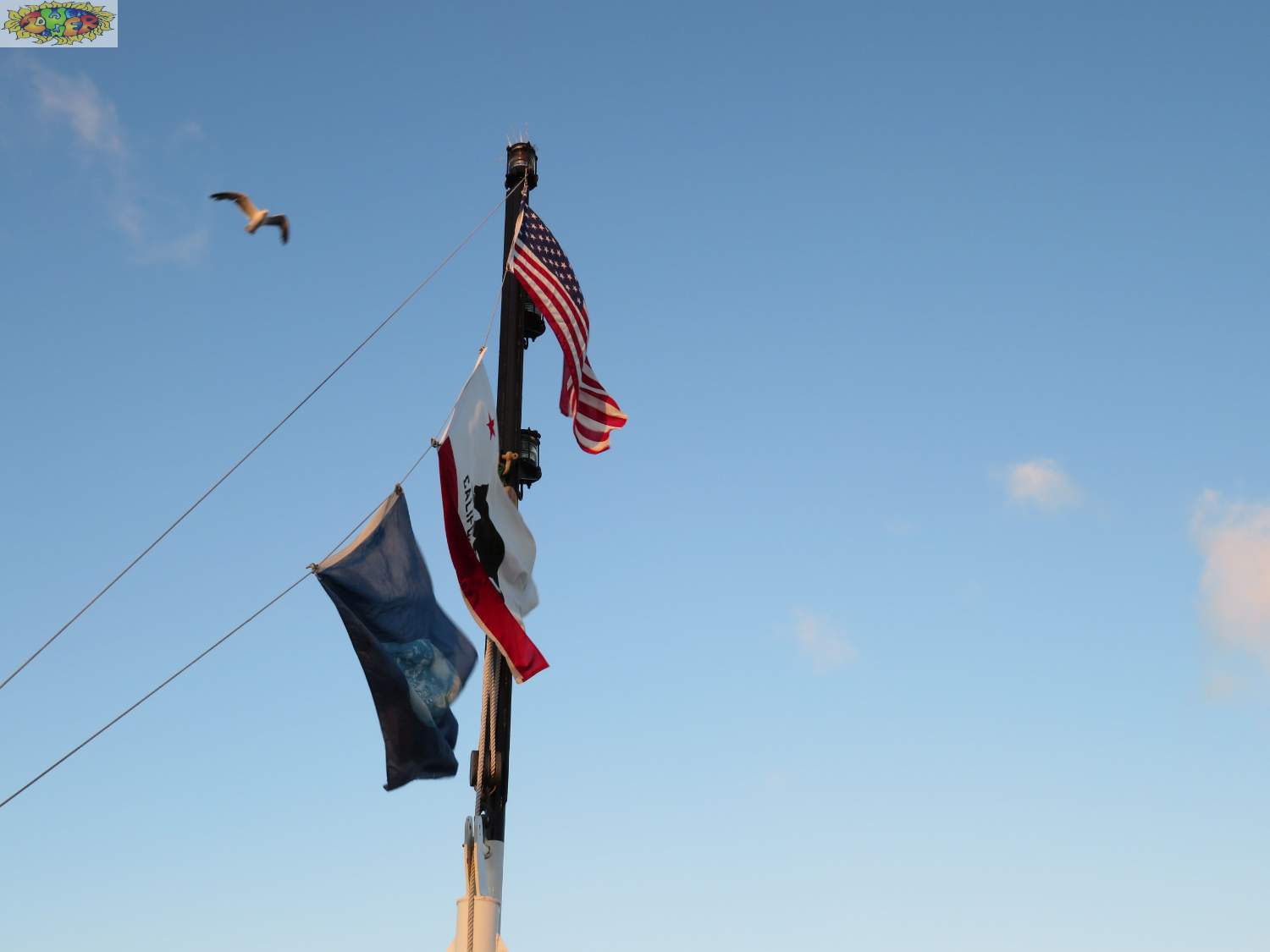 Solve Tugboat flags jigsaw puzzle online with 80 pieces