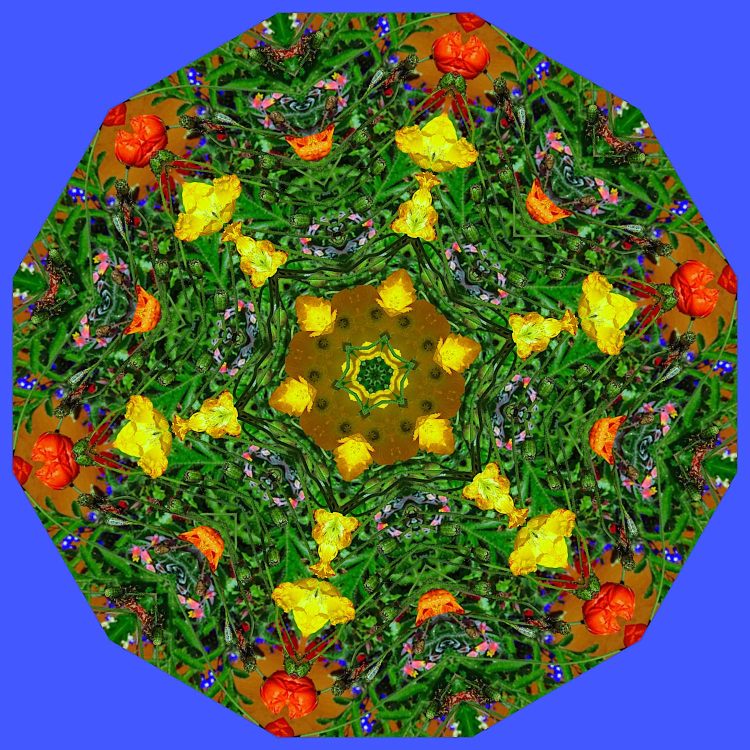 Solve #2 very large jigsaw puzzle online with 225 pieces