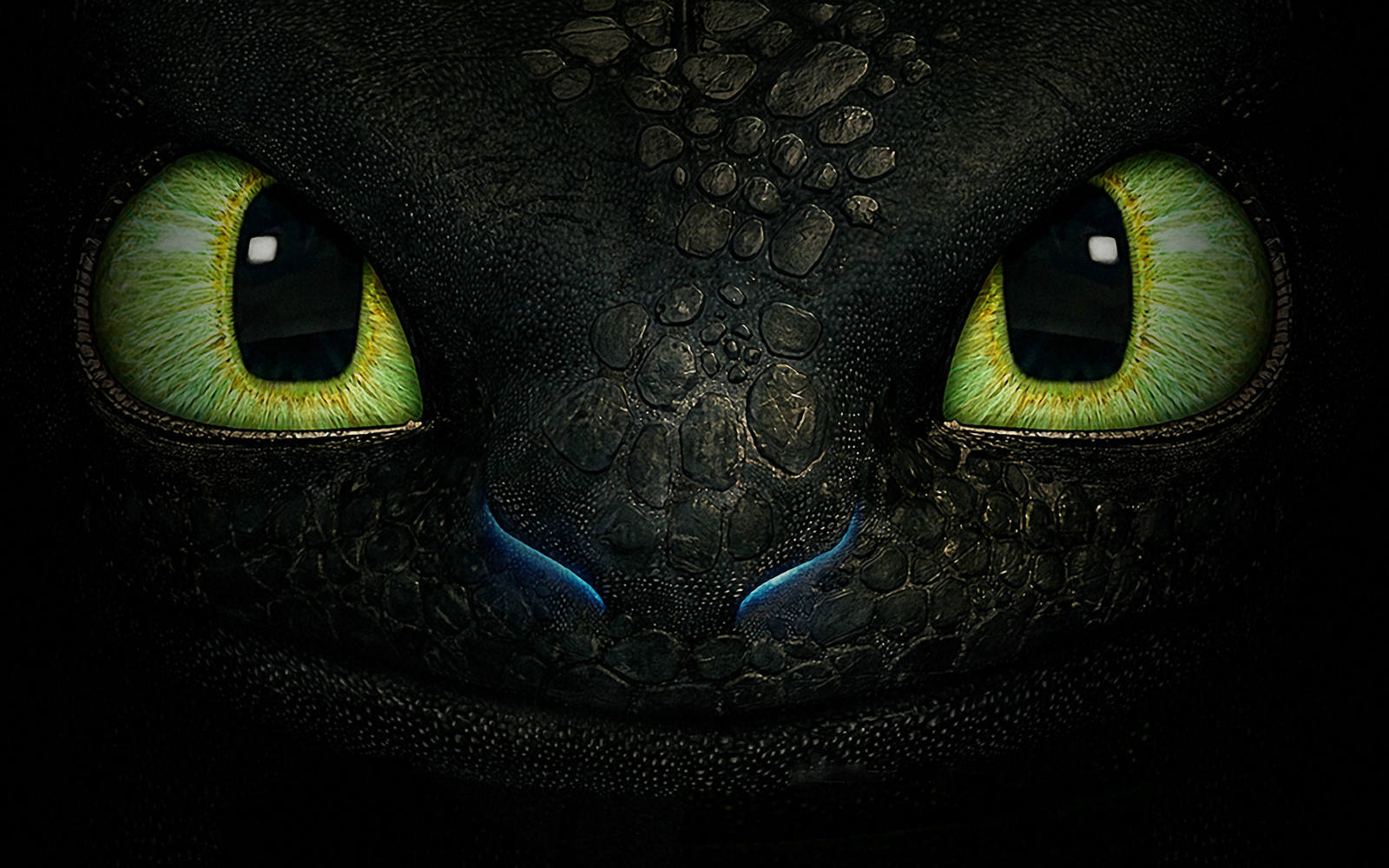 Solve Toothless Glare jigsaw puzzle online with 322 pieces