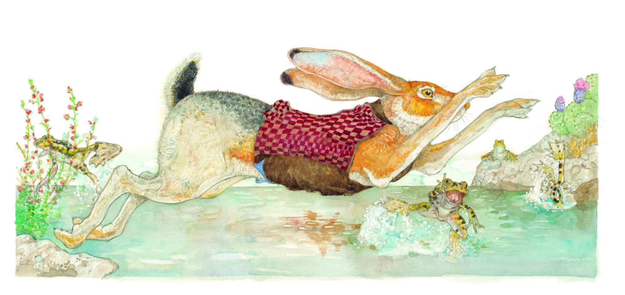 Solve The Tortoise and The Hare ~ Jerry Pinkney jigsaw puzzle online ...