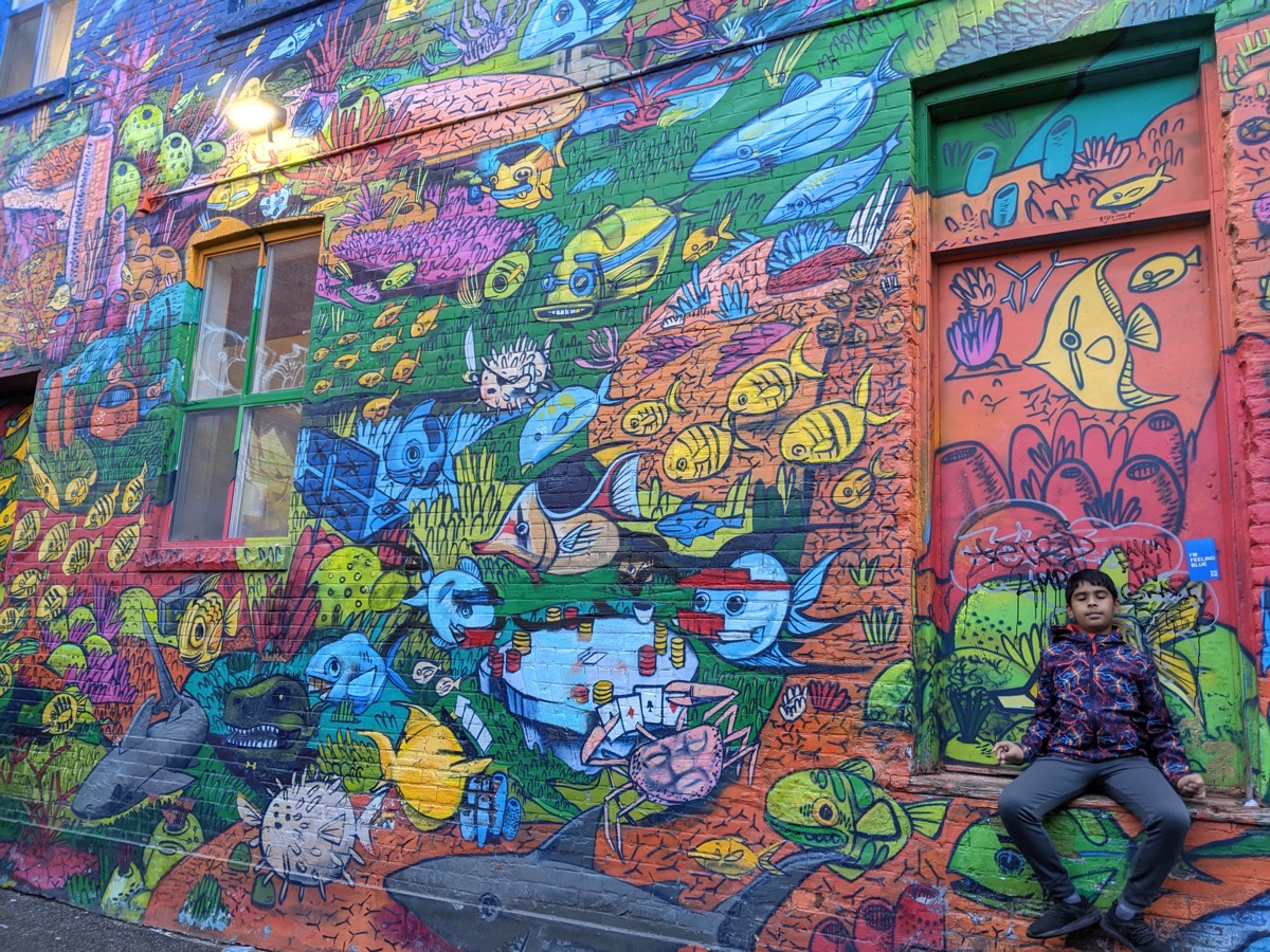 Solve Graffiti Alley, Toronto jigsaw puzzle online with 48 pieces