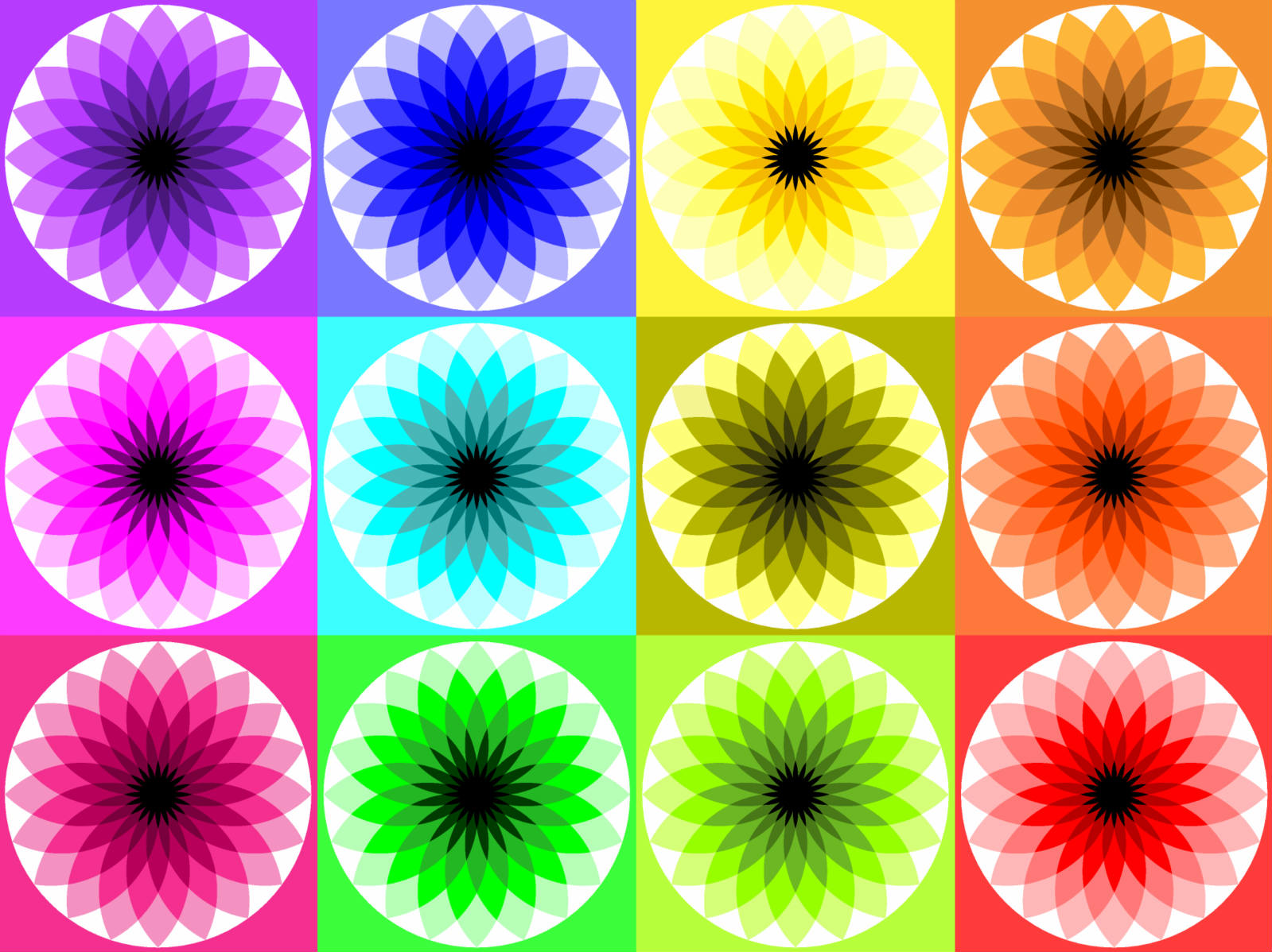 Solve 3x4 jigsaw puzzle online with 432 pieces