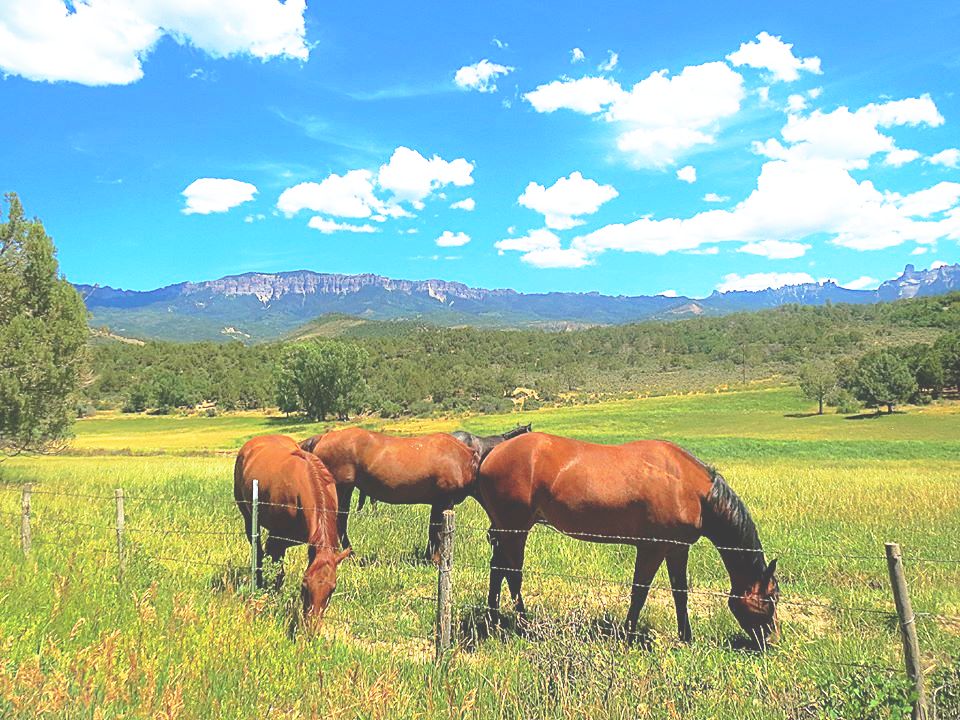 Solve SW Colorado ranch jigsaw puzzle online with 130 pieces