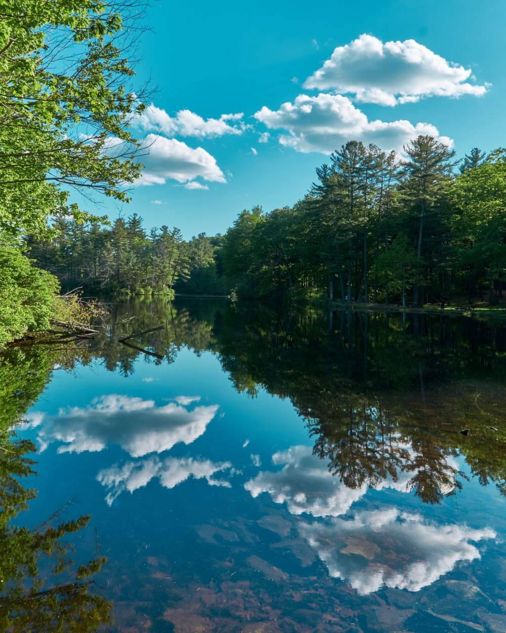 Solve Reflections jigsaw puzzle online with 80 pieces