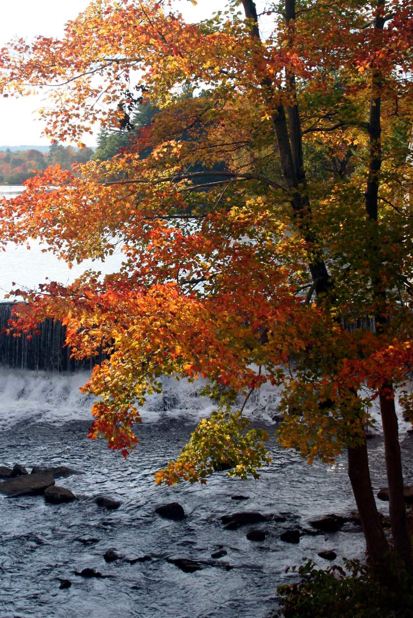 Solve Townsend Harbor, Massachusetts jigsaw puzzle online with 70 pieces