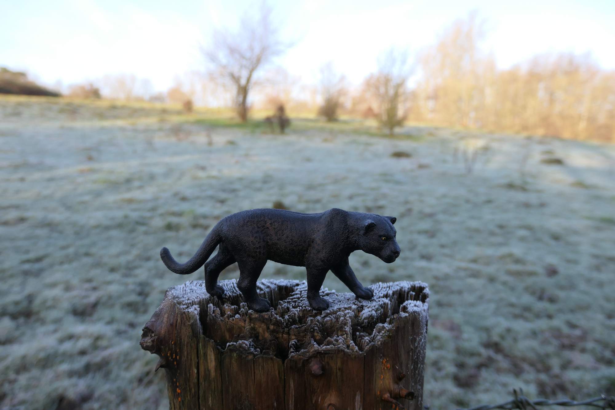 Solve Little Panther Challenge V jigsaw puzzle online with 294 pieces