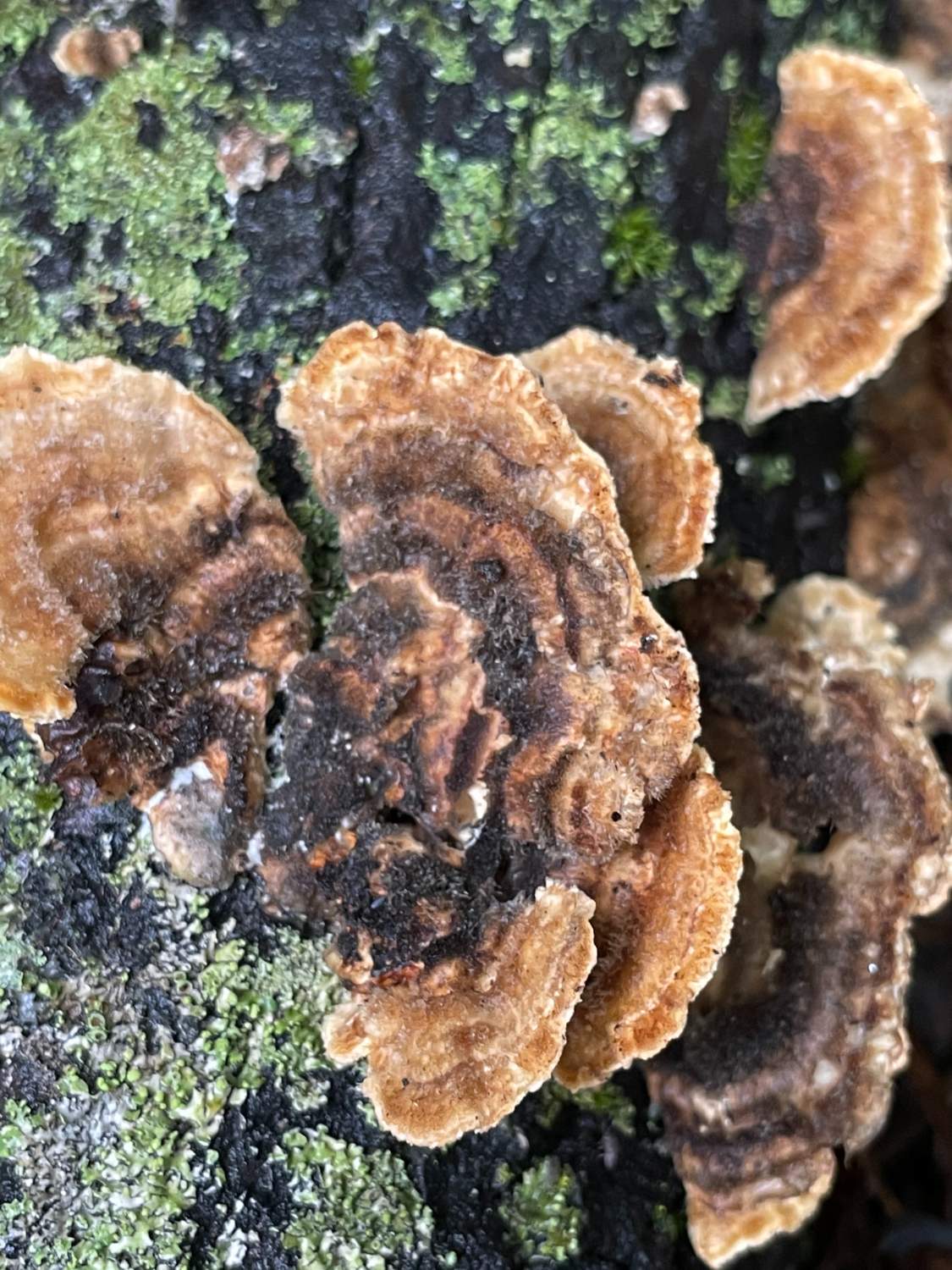 Solve Nature recycling--challenging jigsaw puzzle online with 500 pieces