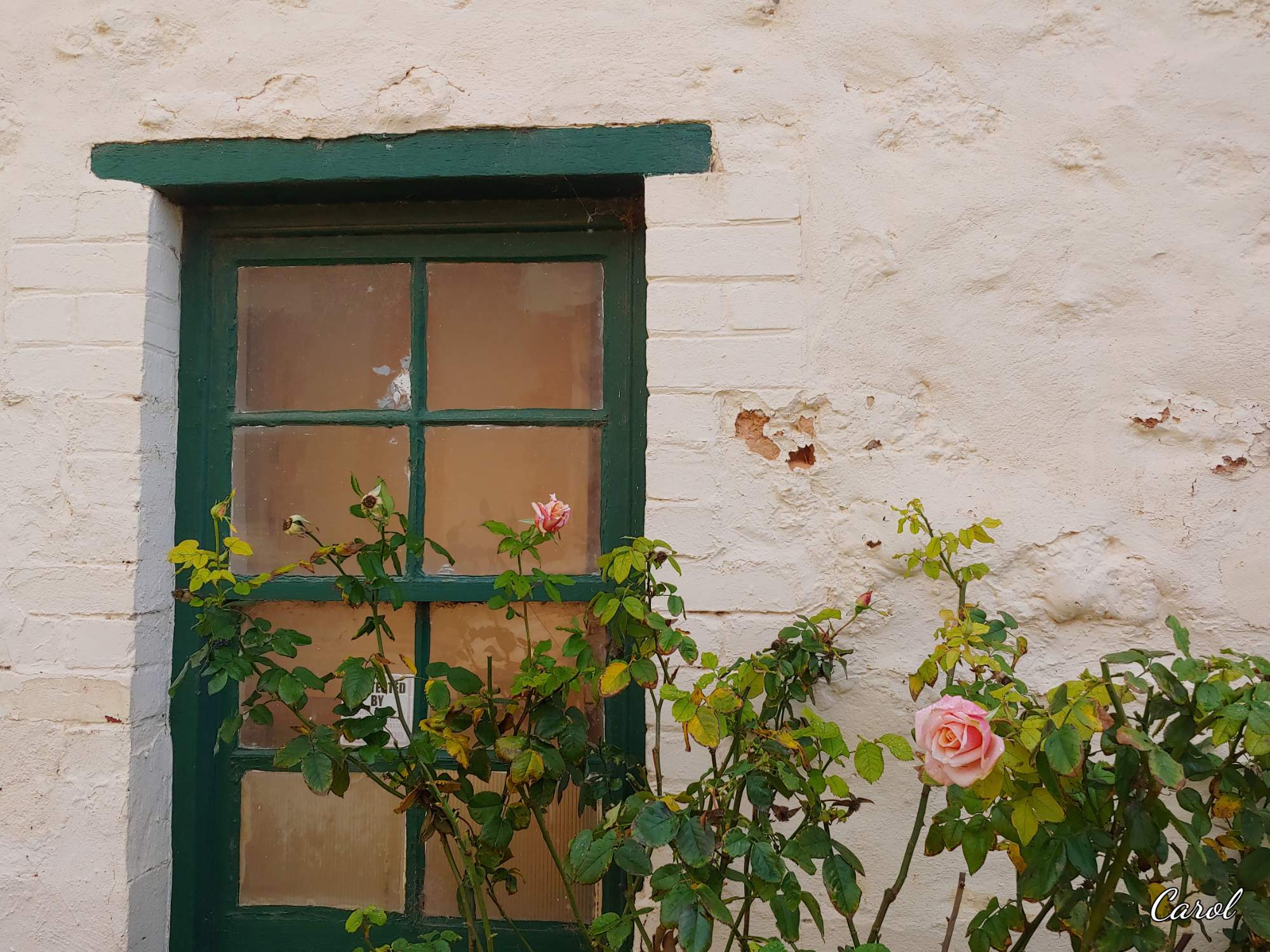 Solve window views jigsaw puzzle online with 336 pieces