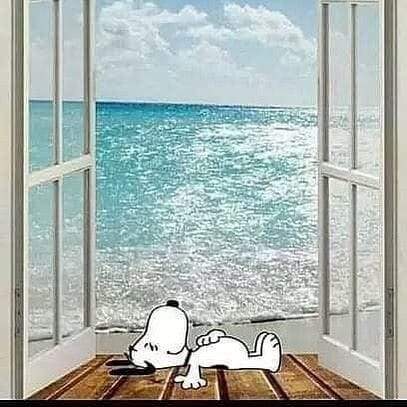 Solve RELAX jigsaw puzzle online with 25 pieces