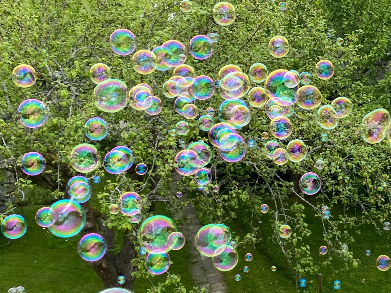 Jigsaw Puzzle | Bubbles and apple tree | 63 pieces | Jigidi