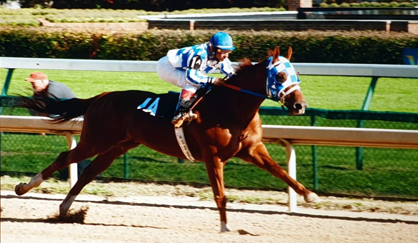 Solve SECRETARIAT - TRIPLE CROWN WINNER jigsaw puzzle online with 28 pieces