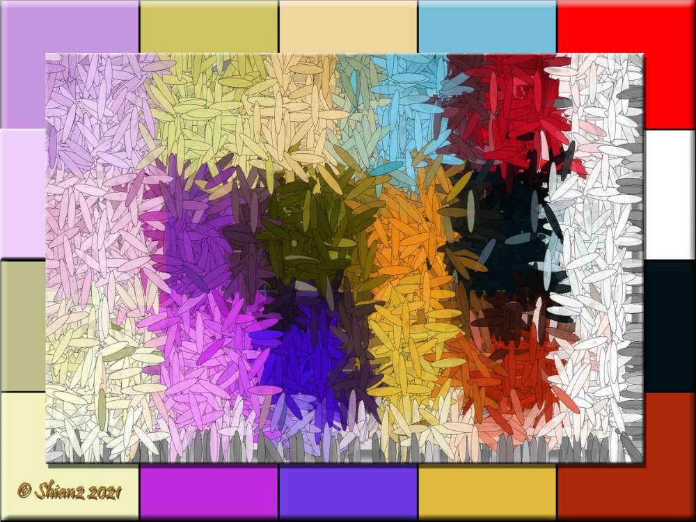 Solve Coloured Rice jigsaw puzzle online with 12 pieces