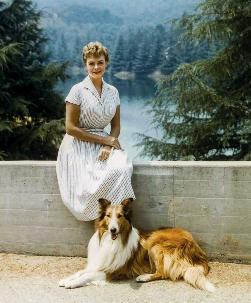 Solve June Lockhart and Lassie (Steve Mittman) jigsaw puzzle online ...