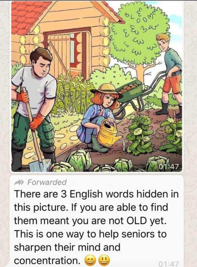 Solve Daily Quiz jigsaw puzzle online with 12 pieces