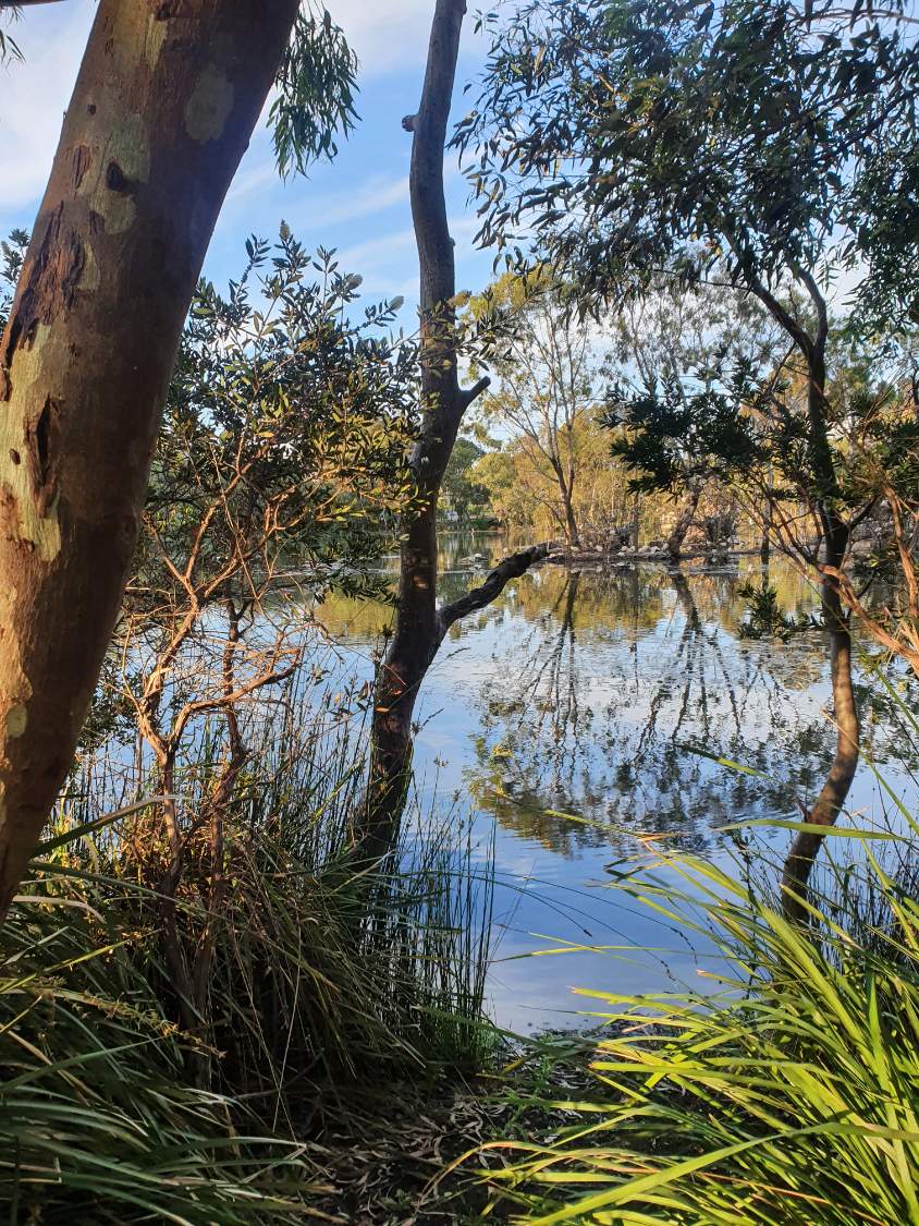 Solve Peter Hopper Lake near sunset jigsaw puzzle online with 48 pieces