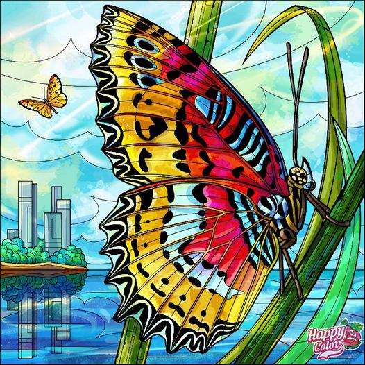 Solve Colorful Butterfly jigsaw puzzle online with 25 pieces